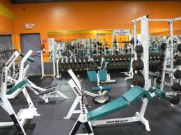 Tips and Techniques for Weight Training the Free Weights